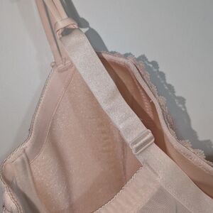 Enchanted | Intimates & Sleepwear | Enchanted Elegant Pale Pink Lace ...